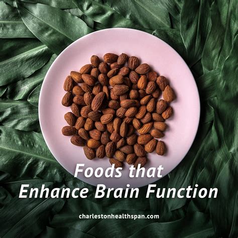 Foods That Enhance Brain Function Charleston Healthspan Institute