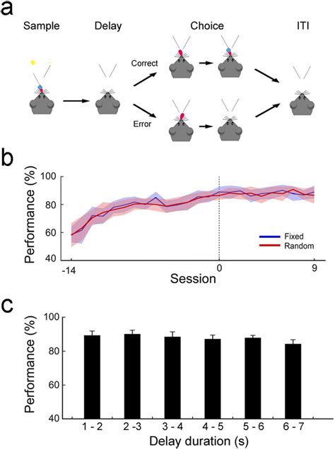 behavioral task and performance a a delayed match to sample task a