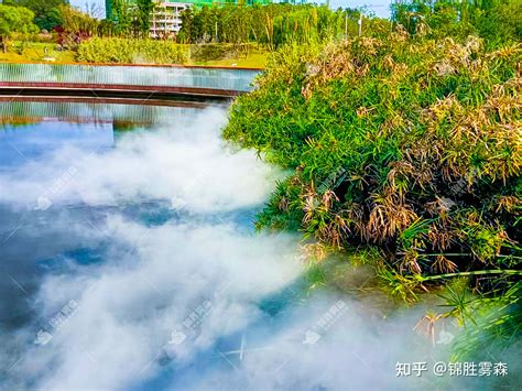 杨溪湖公园景观造雾开启生态 仙境”模式——锦胜雾森 知乎
