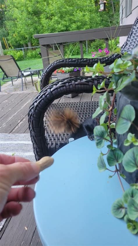 Missing Mama Youtube