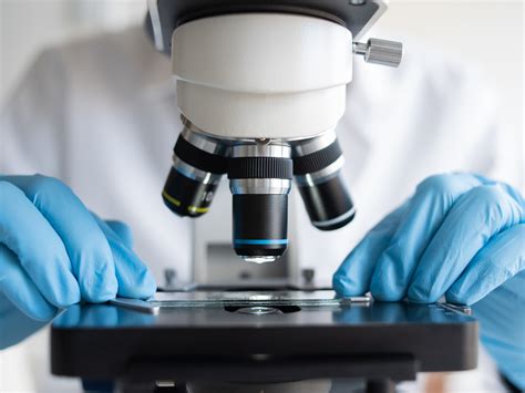 Laser Grain Size Analysis Applied Technical Services