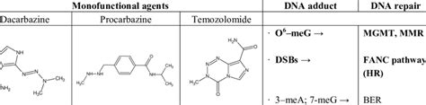 Major Monofunctional Alkylating Agents Associated With The Risk Of