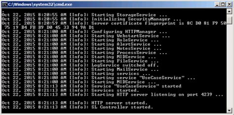 simple about sap basis sap update system using software update manager 1 0