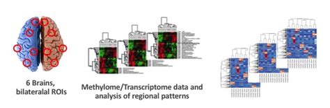 Abb 2e5 Genomic 20imaging Poster Png