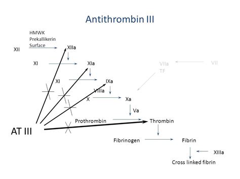 Hemodynamics Ppt Download