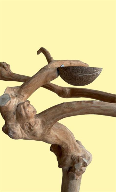 Customized Java Tree Kukutoys Customized Java Tree Kukutoys
