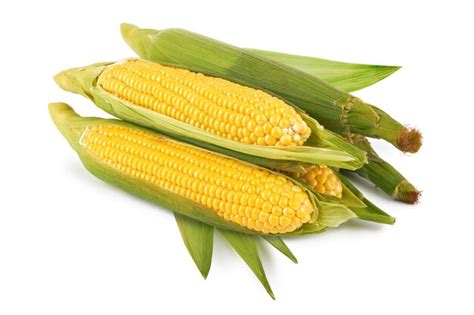 Premium Photo Fresh Corn Vegetable