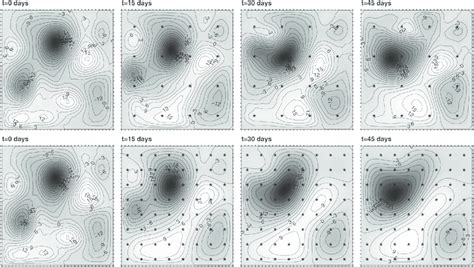 Streamfunction C Of The Reference Solutions With Top N 5 50 M 2 S 21