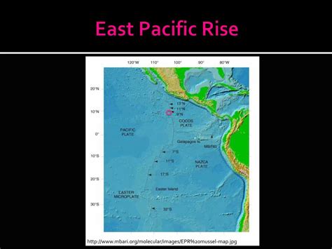 Ppt Adaptation And Mercury Resistance In Bacteria From Deep Sea Hydrothermal Vents Powerpoint