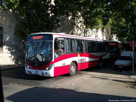 Autobuses Urbanos Camiones Transporte