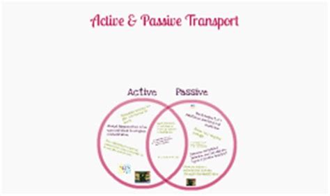 Venn Diagram Of Active And Passive Transport