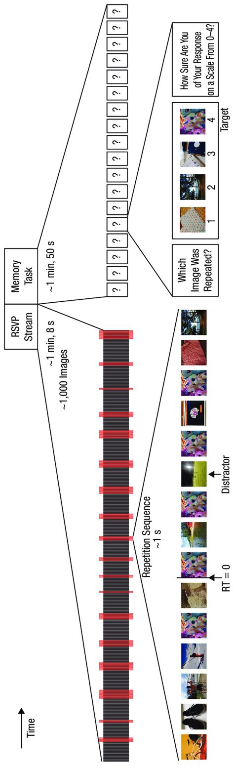 Example Stimuli And Trial Sequence In Experiment 1 Each Download