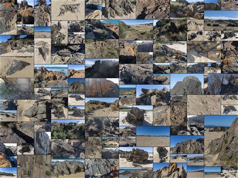 203 Photos Of Spiky Rocks Beach Fotoref