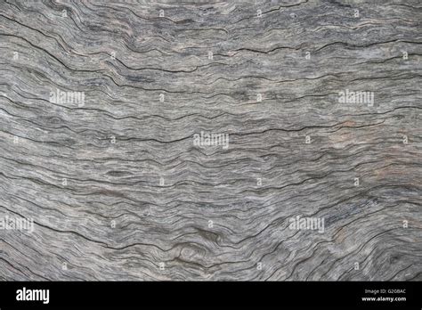 Tree Bark Texture Stock Photo Alamy