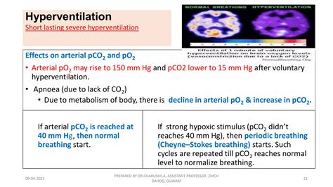 Respiratory Patterns And Its Abnormality Pdf
