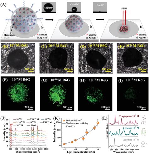 A Schematic Showing The Evaporation Process Of The Mixed Analyte Download Scientific Diagram