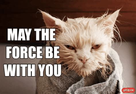 May The Force Be With You Jyn Erso 