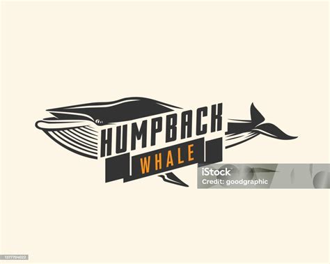 Humpback Whale Vector Emblem Stock Illustration Download Image Now