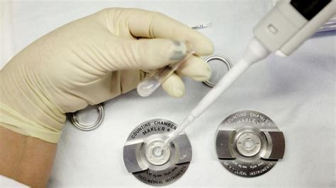 Sædkvaliteten Falder Med 62 Procent På Verdensplan Bt Samfund Btdk