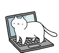 Cute Cat Wallpapers For Laptop 