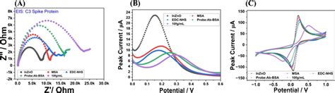 Biofunctionalization Process With The Anti C3 Antibody Using Multiple