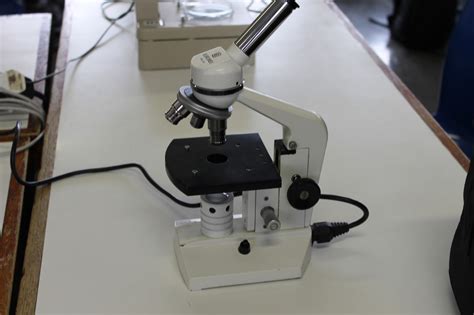 Nvwrjs Biology Eco Column Biotic Components Under A Light And