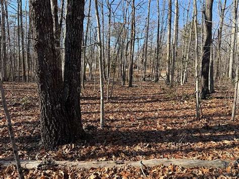 109 Acres Of Agricultural Land For Sale In Gladstone Virginia