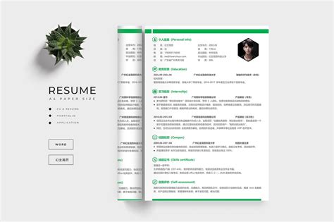 Java开发工程师简历15k 20k薪资 幻主简历