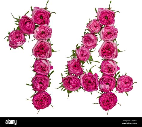 Arabic Numeral 14 Fourteen From Red Flowers Of Rose Isolated On