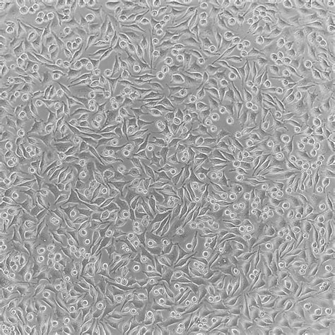 Eag Laboratories The Global Leader In Materials Testing