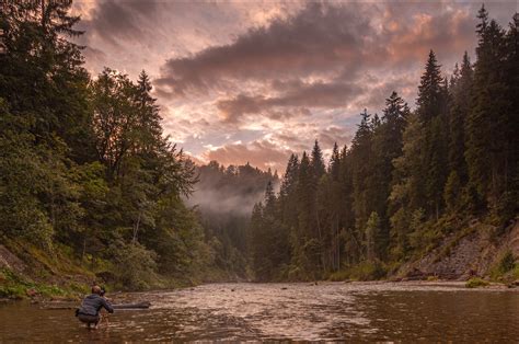 Der Fotograf Forum Für Naturfotografen Der Fotograf Forum Für Naturfotografen