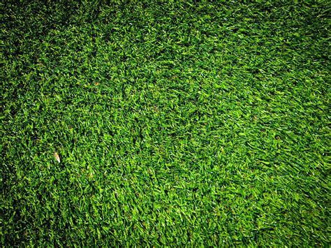 Green Grass Texture Use As Natural Background Wallpaper For Design