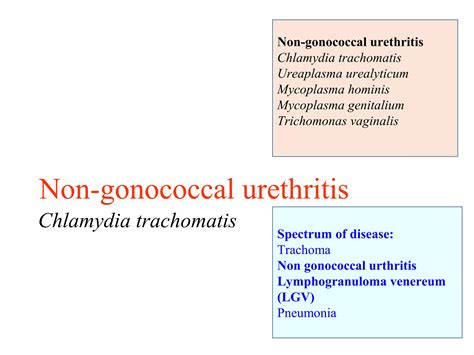 Sexually Transmitted Infections Ppt