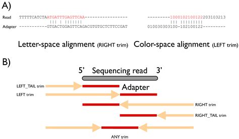Adapters In Dna Sequencing At Roger Krug Blog