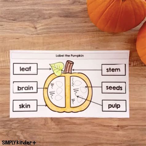 Pumpkin Science Experiments Labeling Parts Simply Kinder Printable