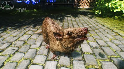 Skat The Rat Downloads Skyrim Adult And Sex Mods Loverslab