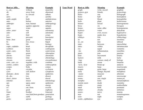Root Or Affix Meaning Example Your Word Root Or Affix Meaning