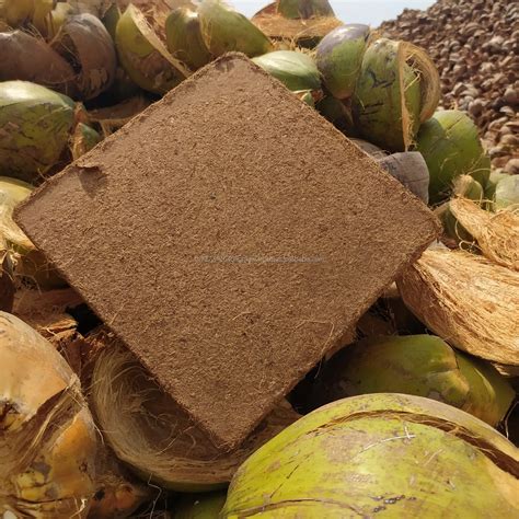 Compressed Raw 5kg Slabs Coconut Coco Peat Fiber Coir Pith Buy Coir