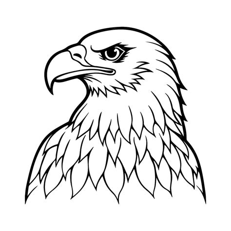 Eagle Line Art Vector Silhouette With White Background Premium Ai