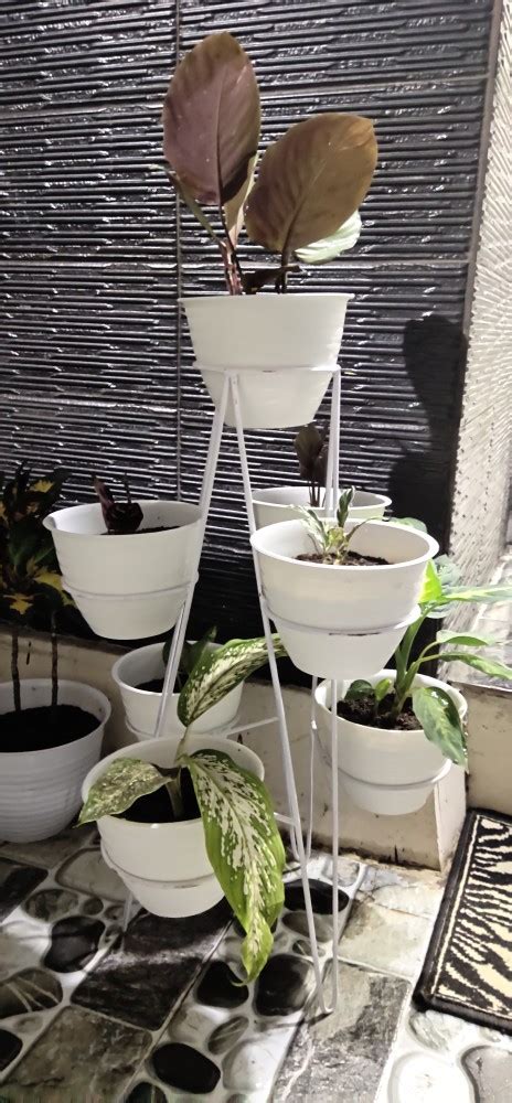 Standing Pot Menara 7 In 1 Rak Bunga Rak Pot Besi Isi 7 Pot Lazada