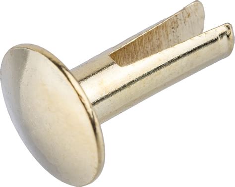 Brass Plated Steel Split Rivets 12 Long Pack Of 50 Split Rivets