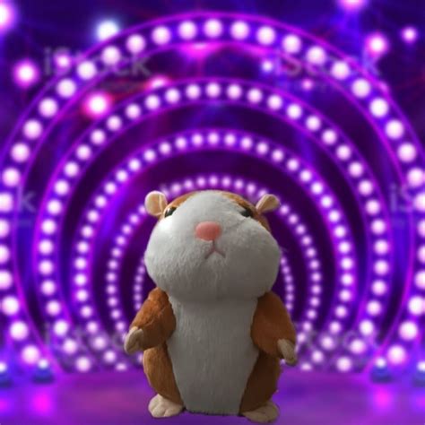 Sigmahamster Youtube
