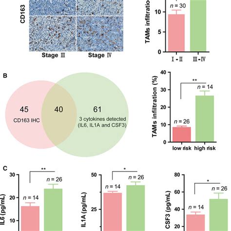 The Three Gene Model Was In Line With Cd163 Tams Infiltration A