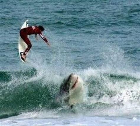Pin On Funny Images