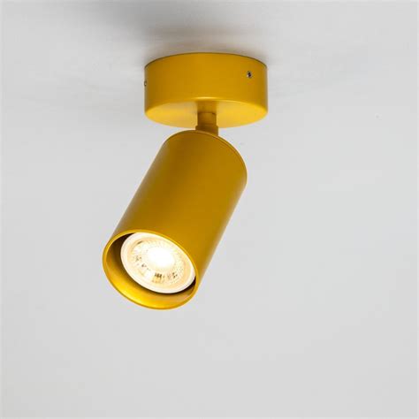 Directional Ceiling Lights Evanston Directional Brass Ceiling