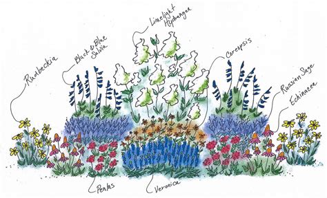 1 Gallon Vs 3 Gallon Hydrangea