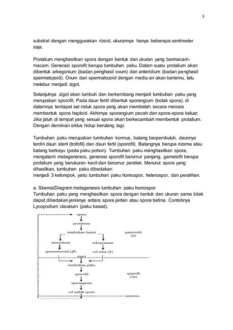 Metagenesis Tumbuhan Paku Dan Lumut Dan Salak Pdf