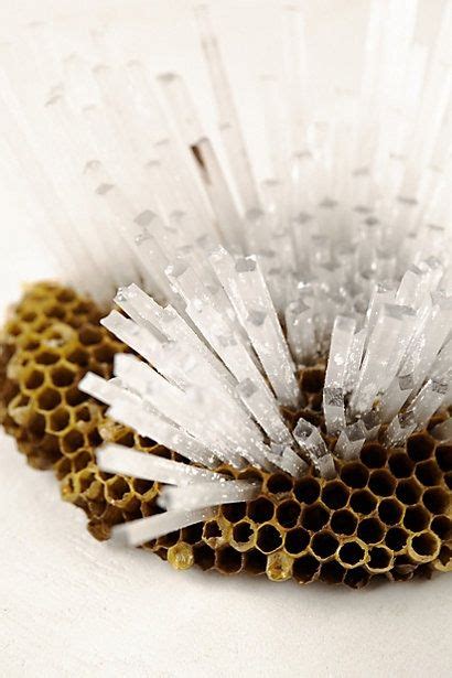 Pin On Crystal Alchemy Nest Art Insect Art Pretty Rocks