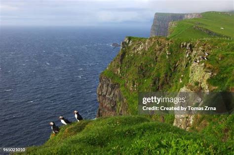 Mykines Island Photos And Premium High Res Pictures Getty Images