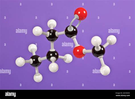 Methyl Butanoate Molecular Model The Molecular Formula Of This